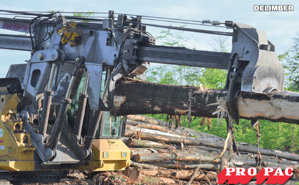Milton CAT Forestry | Attachments
